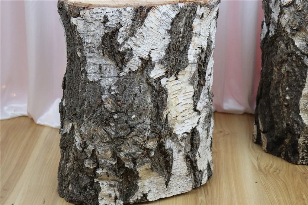 Extra-Large Wooden Stumps | Country Charm Event Hire